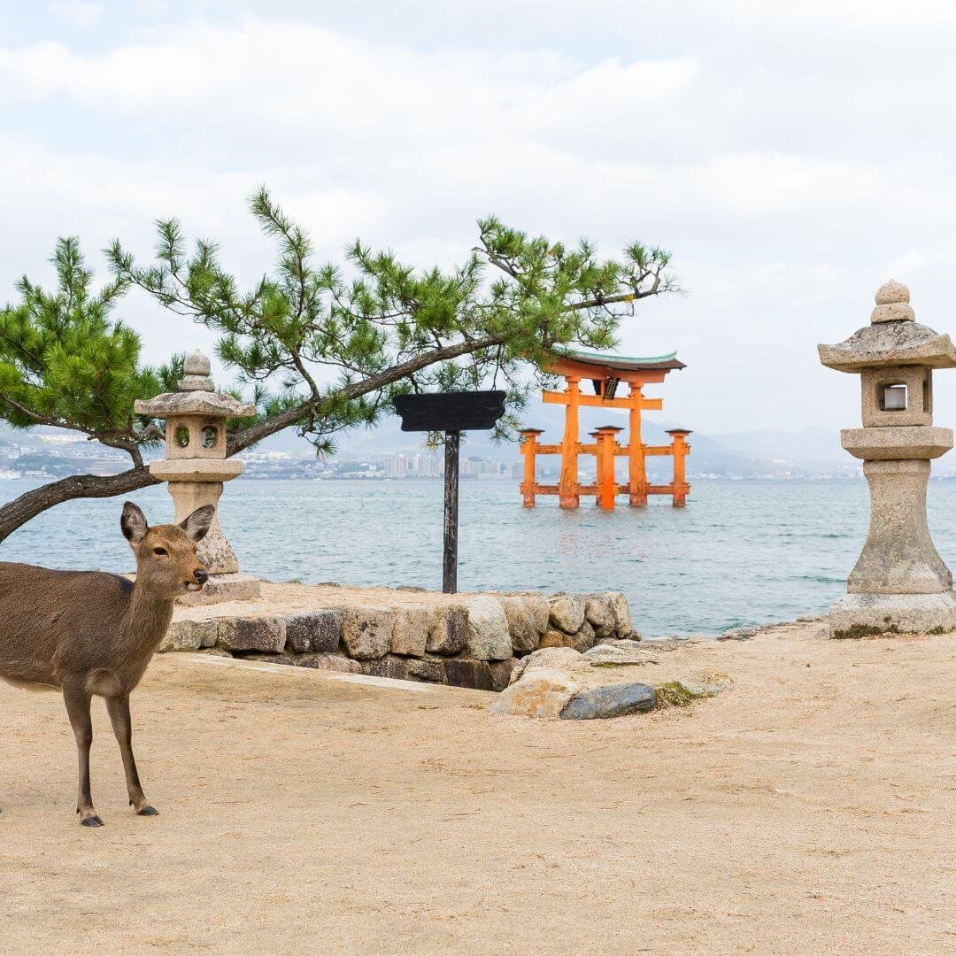 Day Trip to Miyajima Island - Secret Japan | Tours in Japan